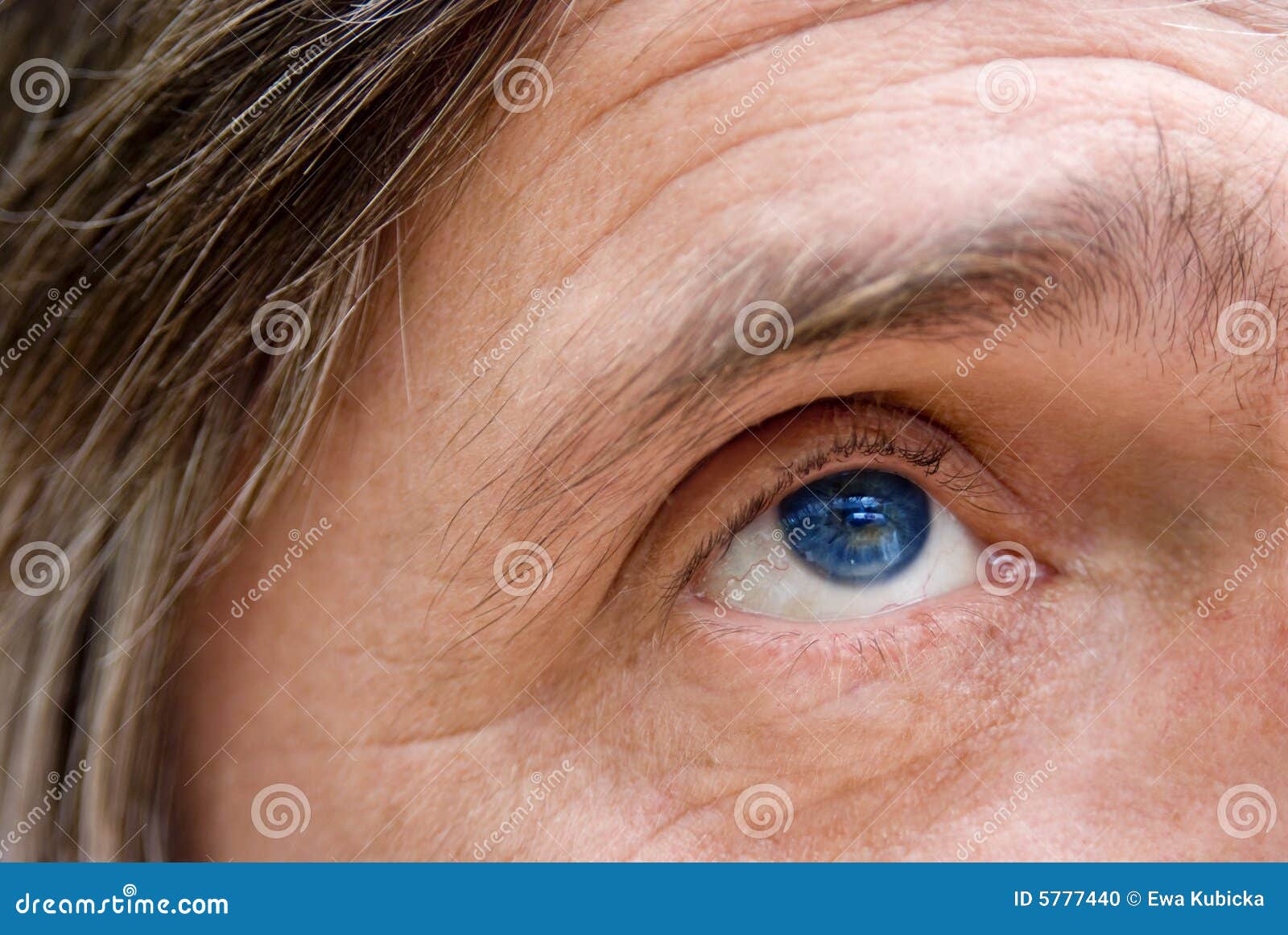 Blue eye looking up stock photo. Image of looking, blue - 5777440