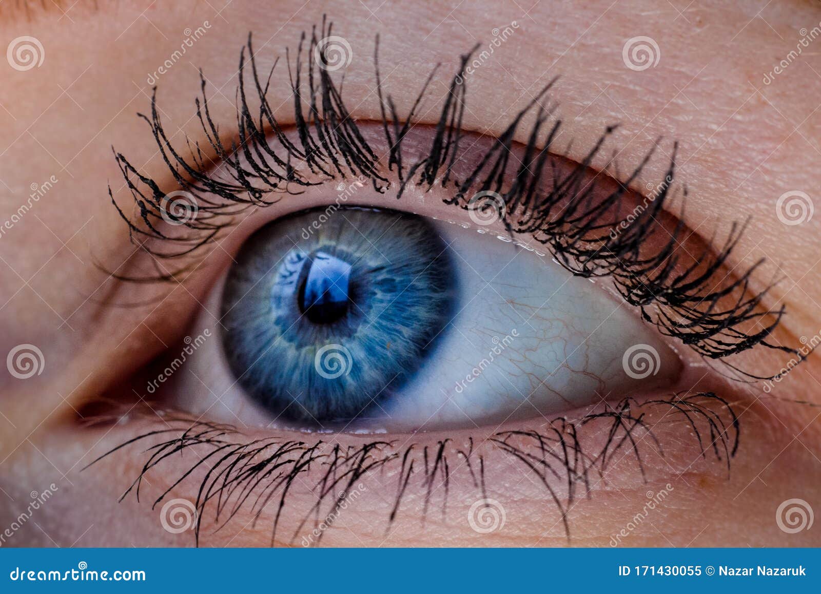 Blue eye macro close up stock image. Image of detail - 171430055