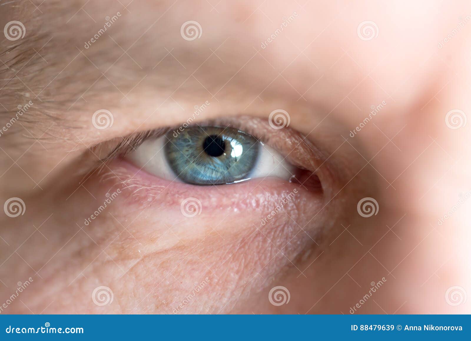 Blue Eye of the Man Close Up Macro Stock Image - Image of people ...