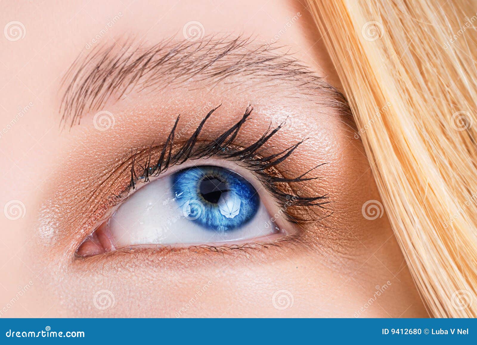 Blue eye of a woman. stock photo. Image of macro, head - 9412680