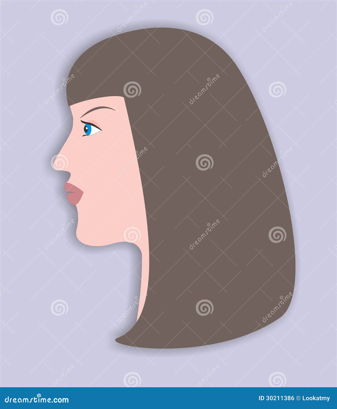 Lady profile stock vector. Illustration of hairstyle - 30211386