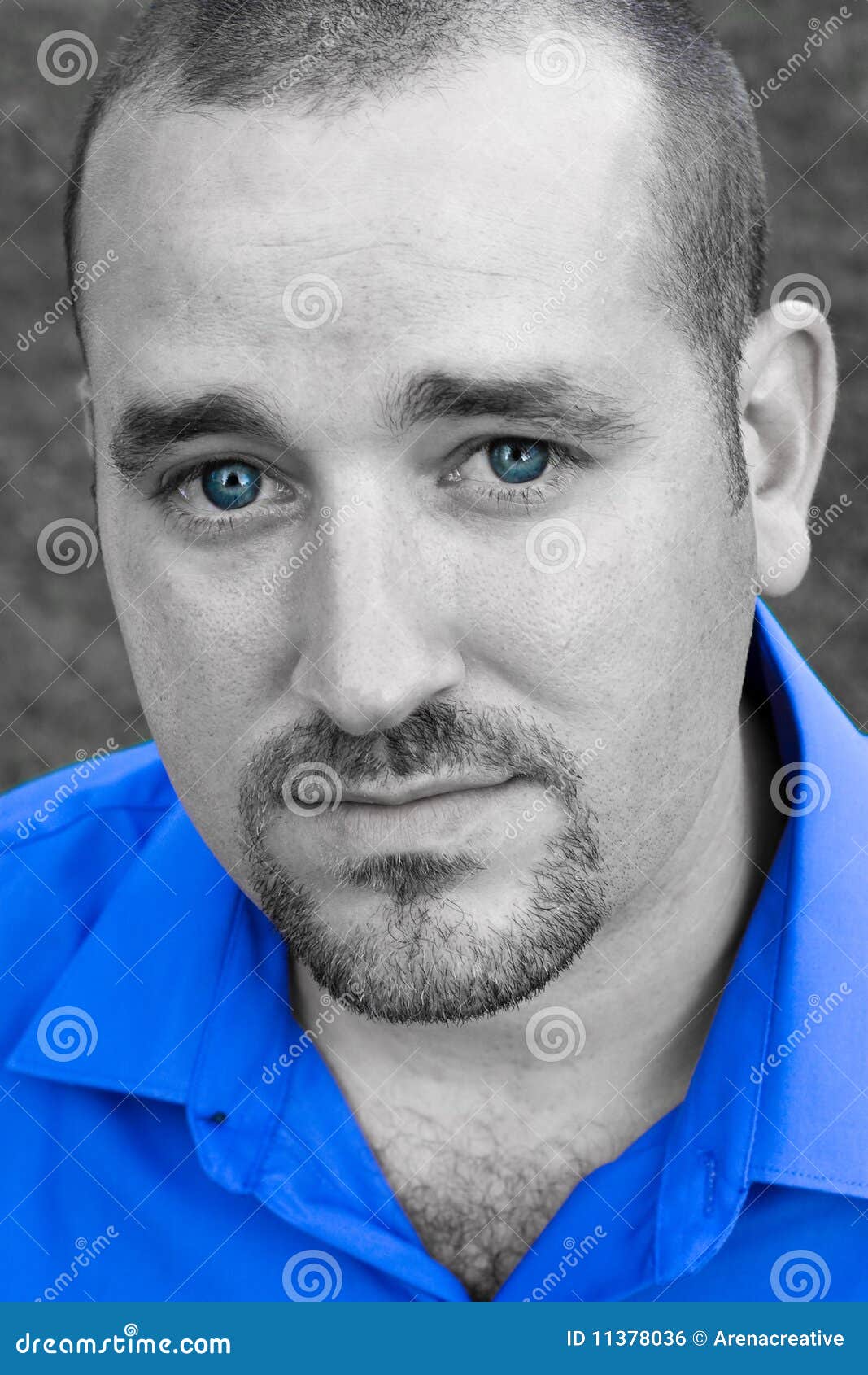 Blue Eyed Man stock photo. Image of face, black, color - 11378036