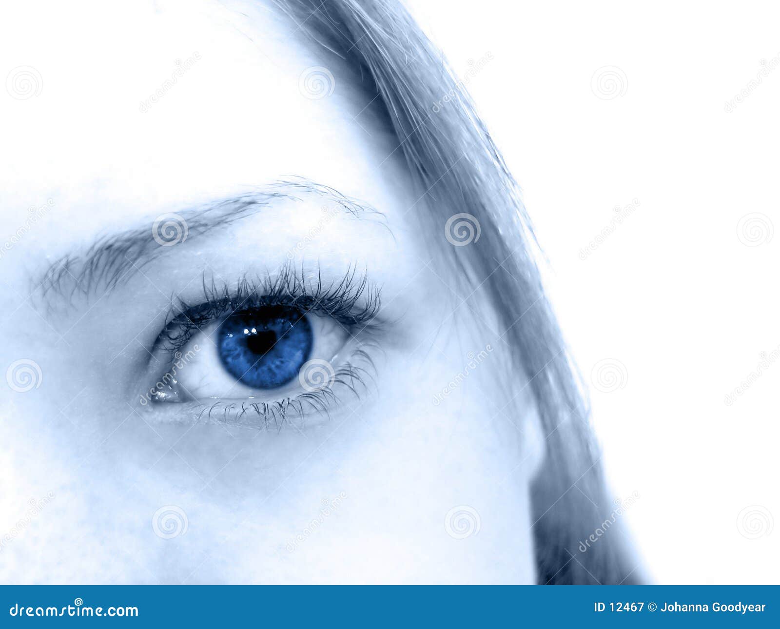 Blue Eyes stock image. Image of lenses, eyebrow, eyelash - 12467