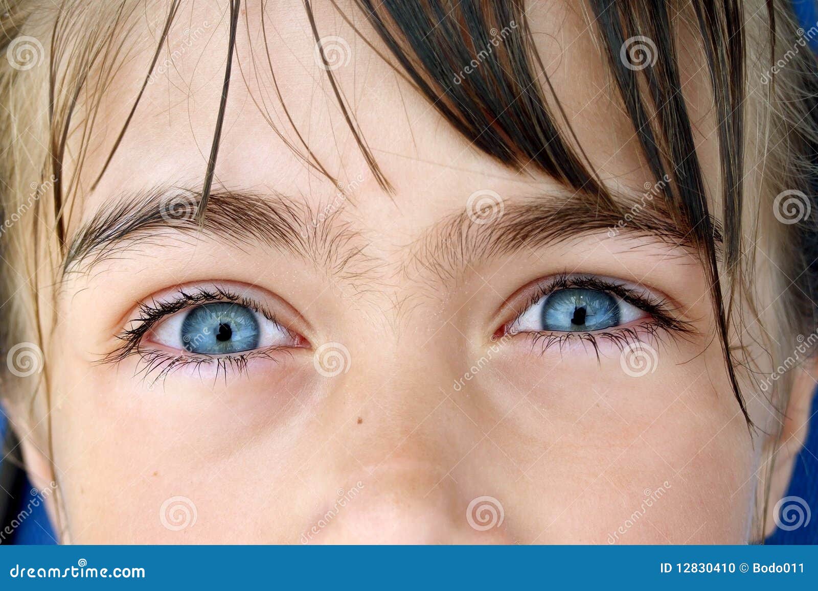 Blue eyes stock photo. Image of hysteric, stare, blue - 12830410
