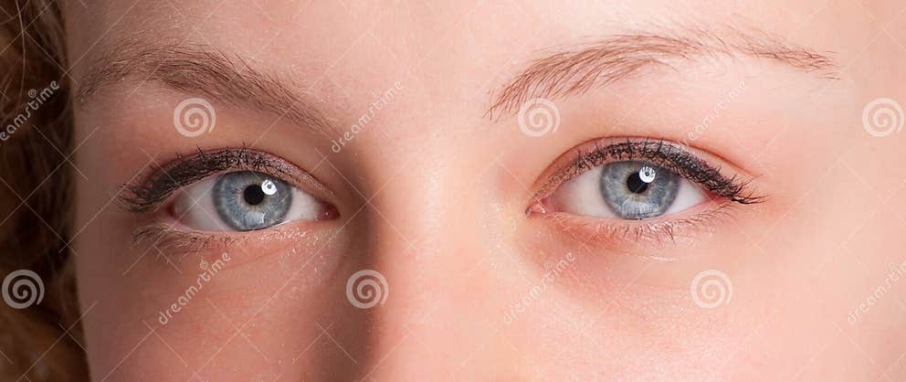 Blue eyes stock photo. Image of face, look, stare, fixing - 14225872