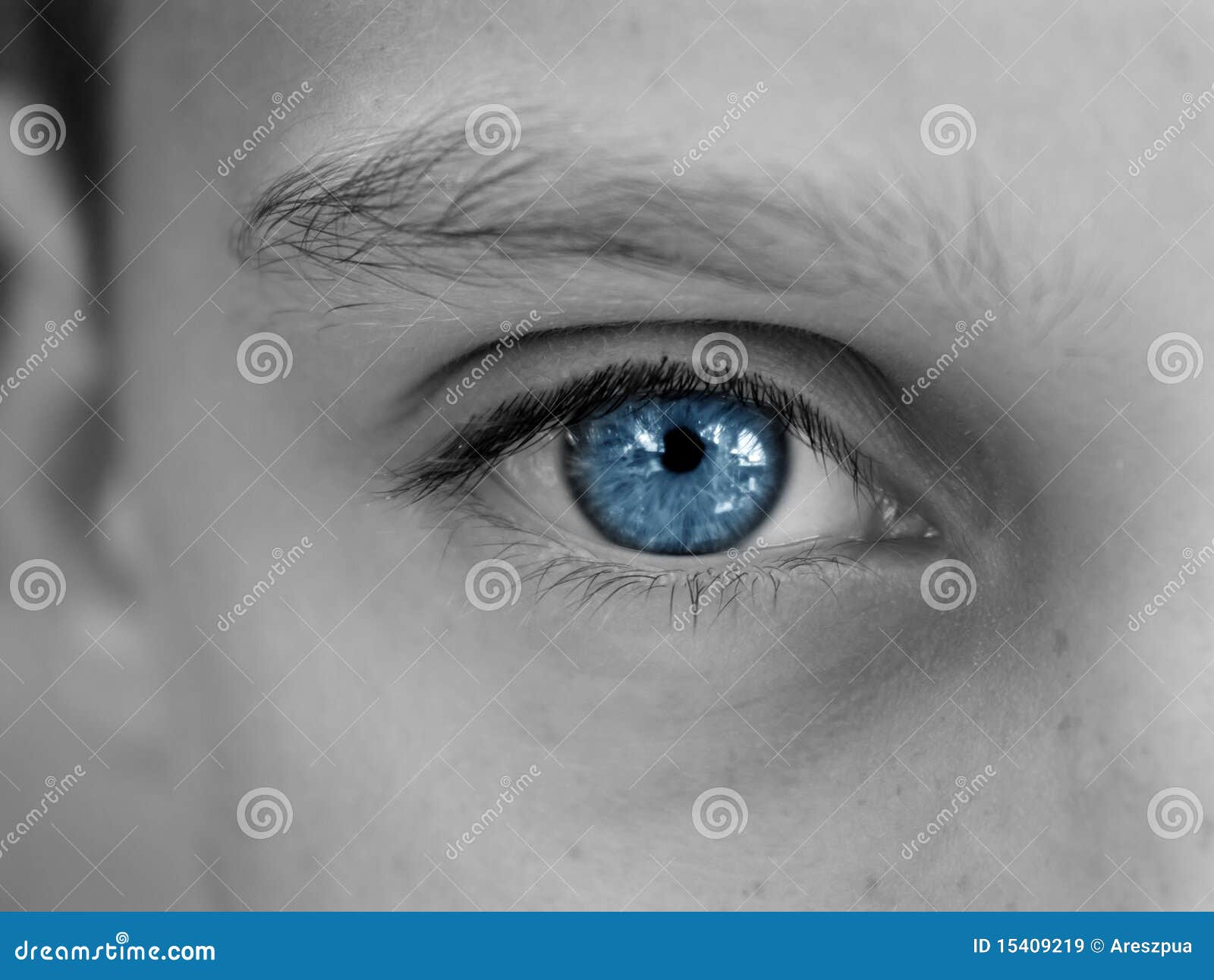 Blue eyes stock image. Image of close, macro, oculistics - 15409219