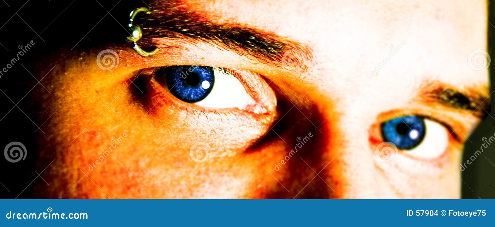 Blue eyes stock photo. Image of pierce, male, contrast, eyebrow - 57904