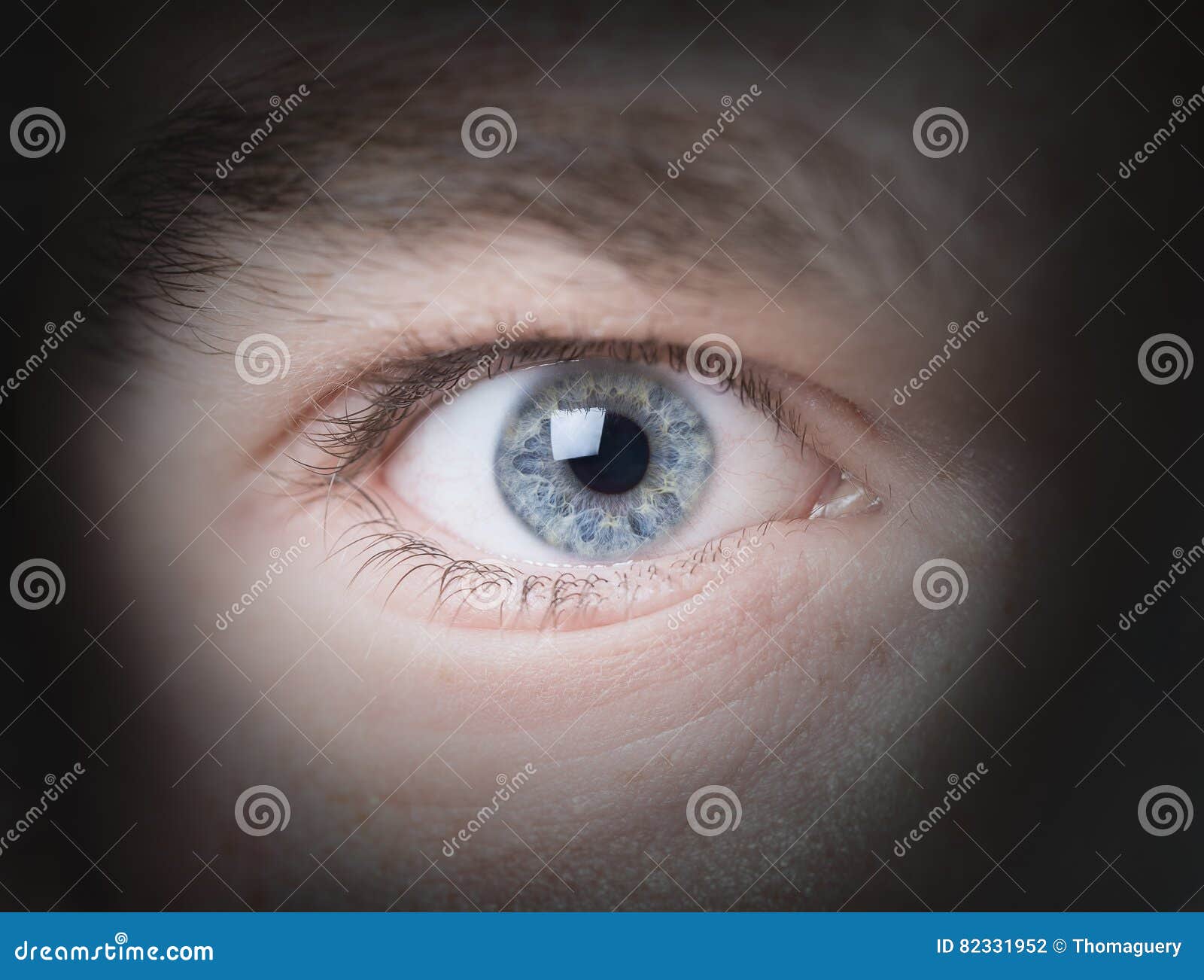 Blue Eyes stock photo. Image of beauty, eyelid, natural - 82331952