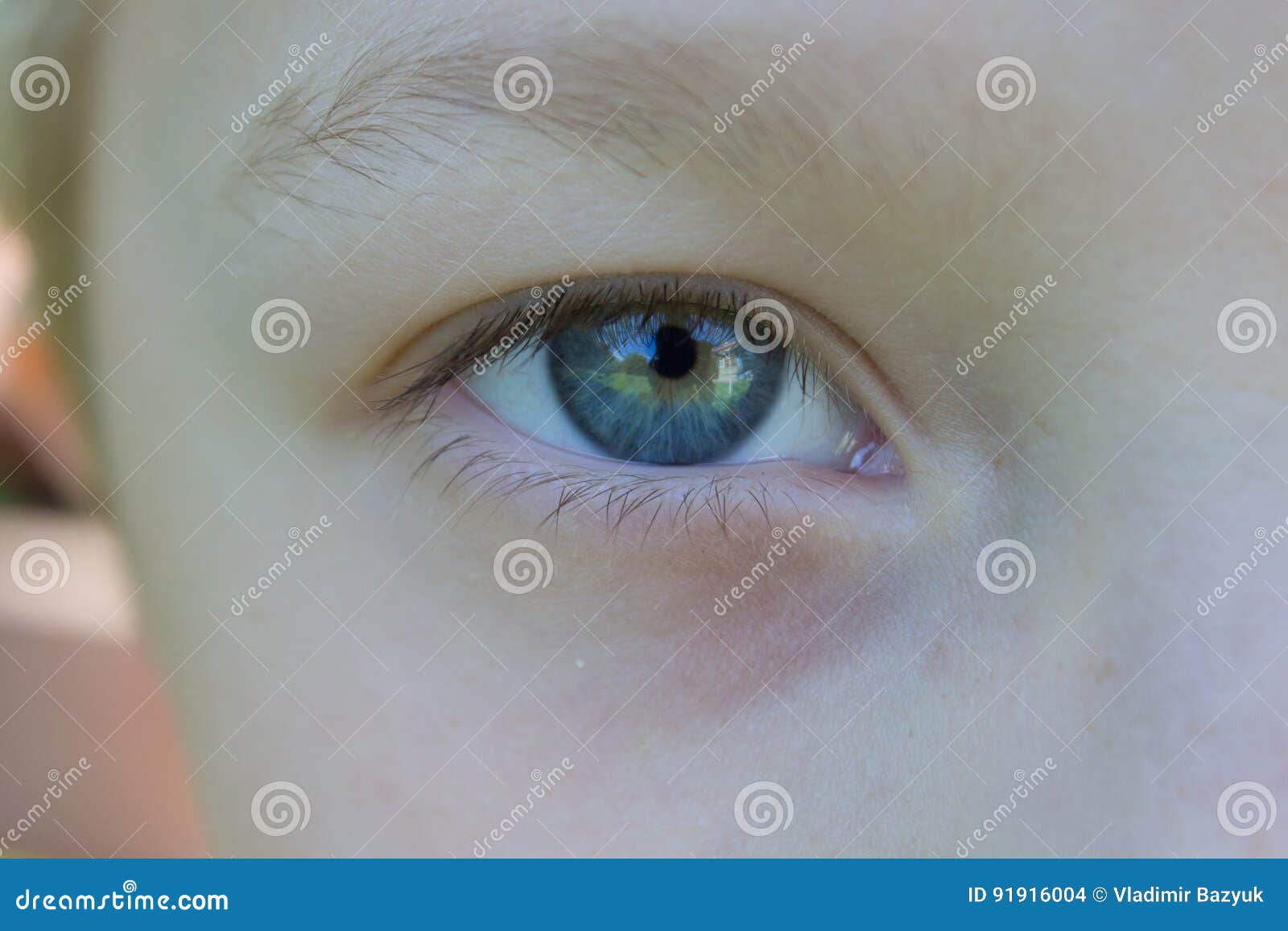 Blue eyes boy stock photo. Image of eyes, view, detail - 91916004