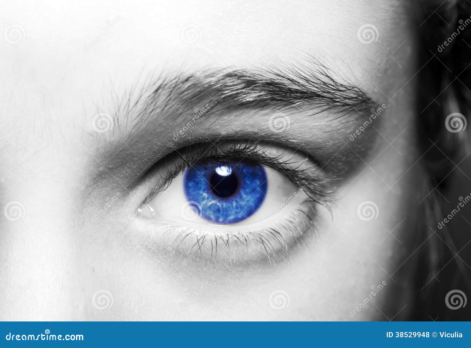 Blue eyes boy stock photo. Image of detail, light, color - 38529948