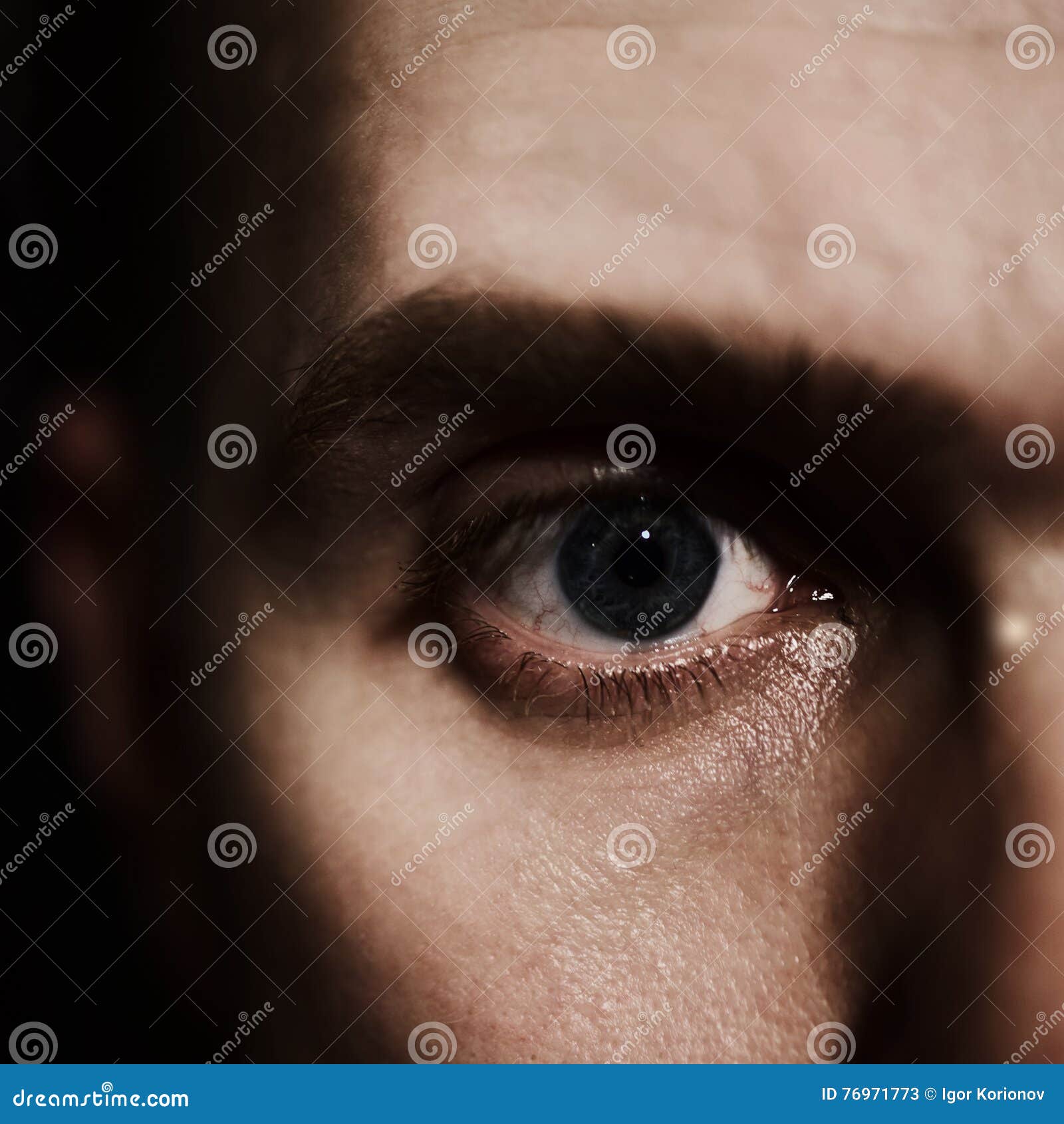 Blue eyes of man stock image. Image of caucasian, closeup - 76971773