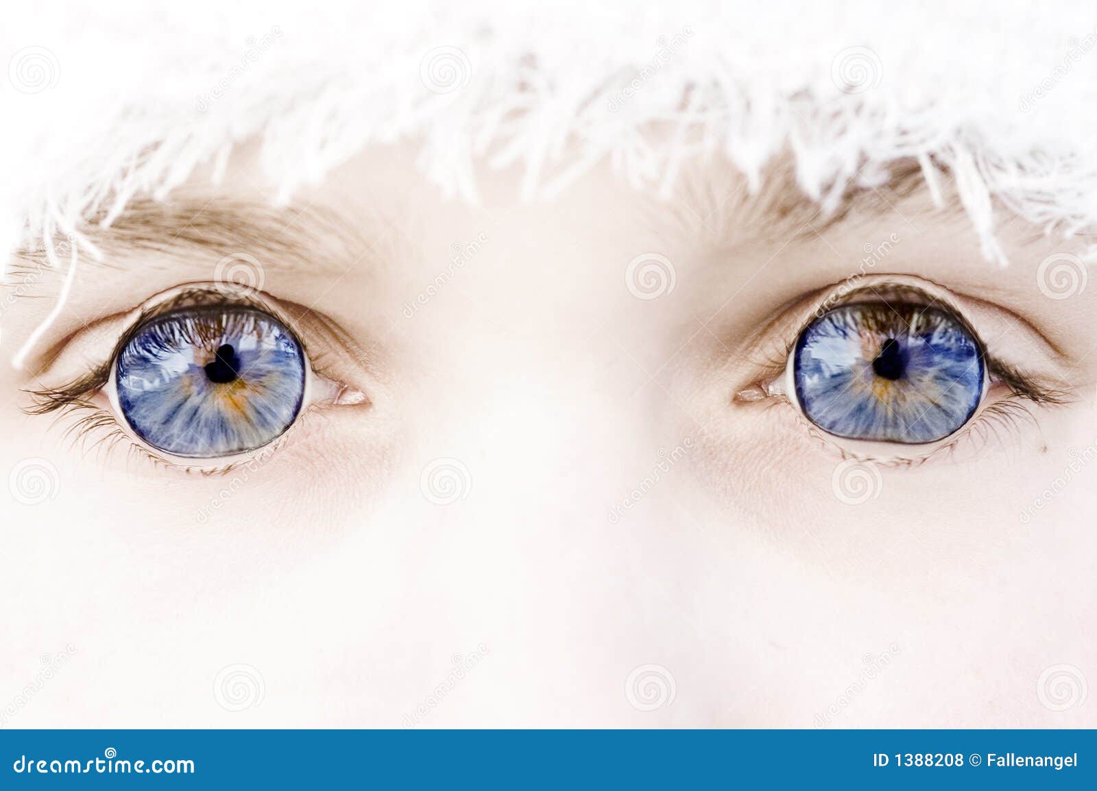 Blue eyes outside stock photo. Image of face, eyes, style - 1388208