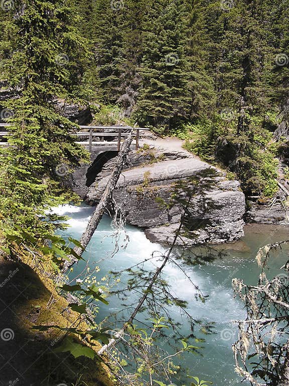 Blue falls and flowers stock photo. Image of tree, park - 357460