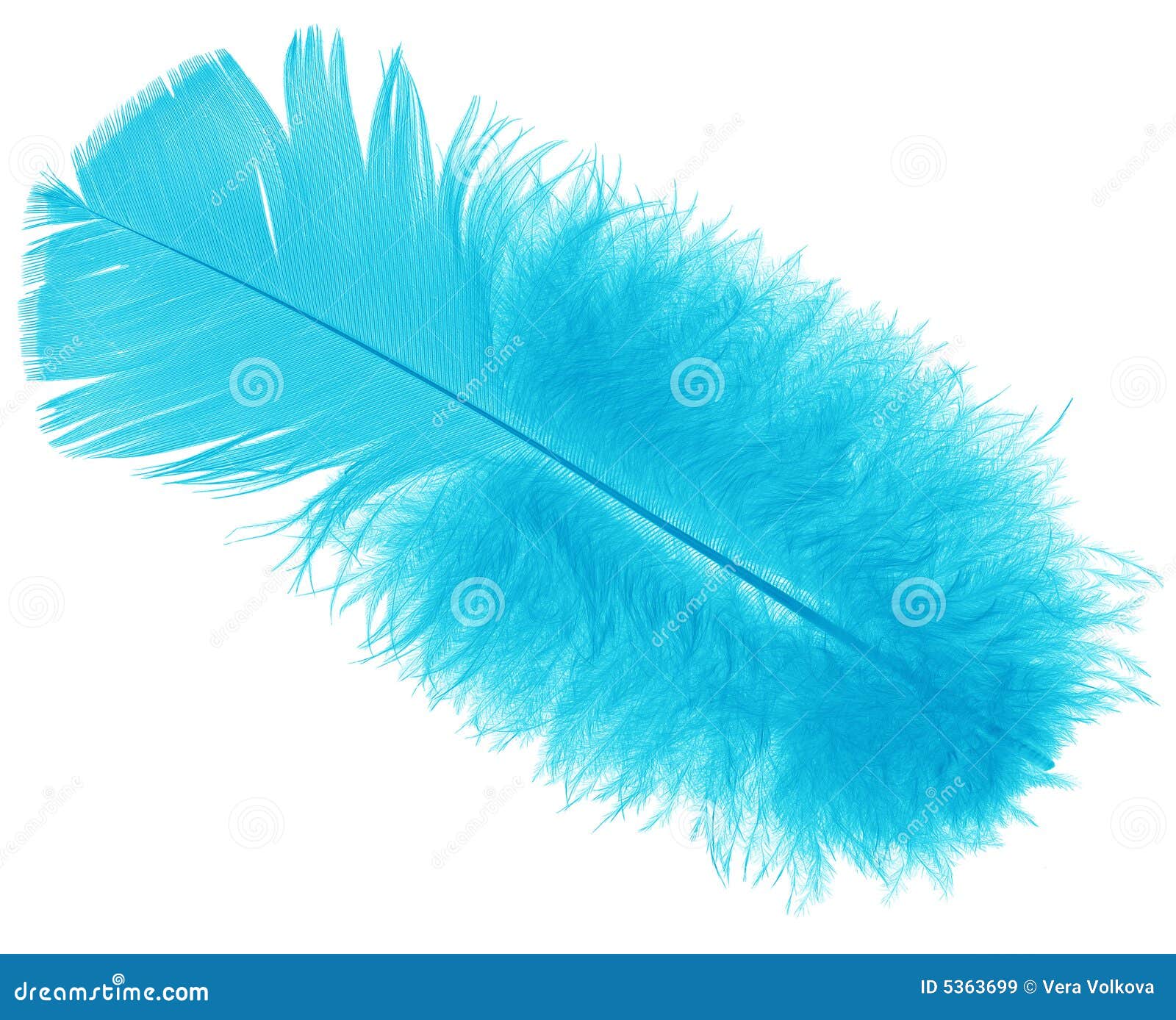 Blue feather stock image. Image of delicate, natural, pillow - 5363699