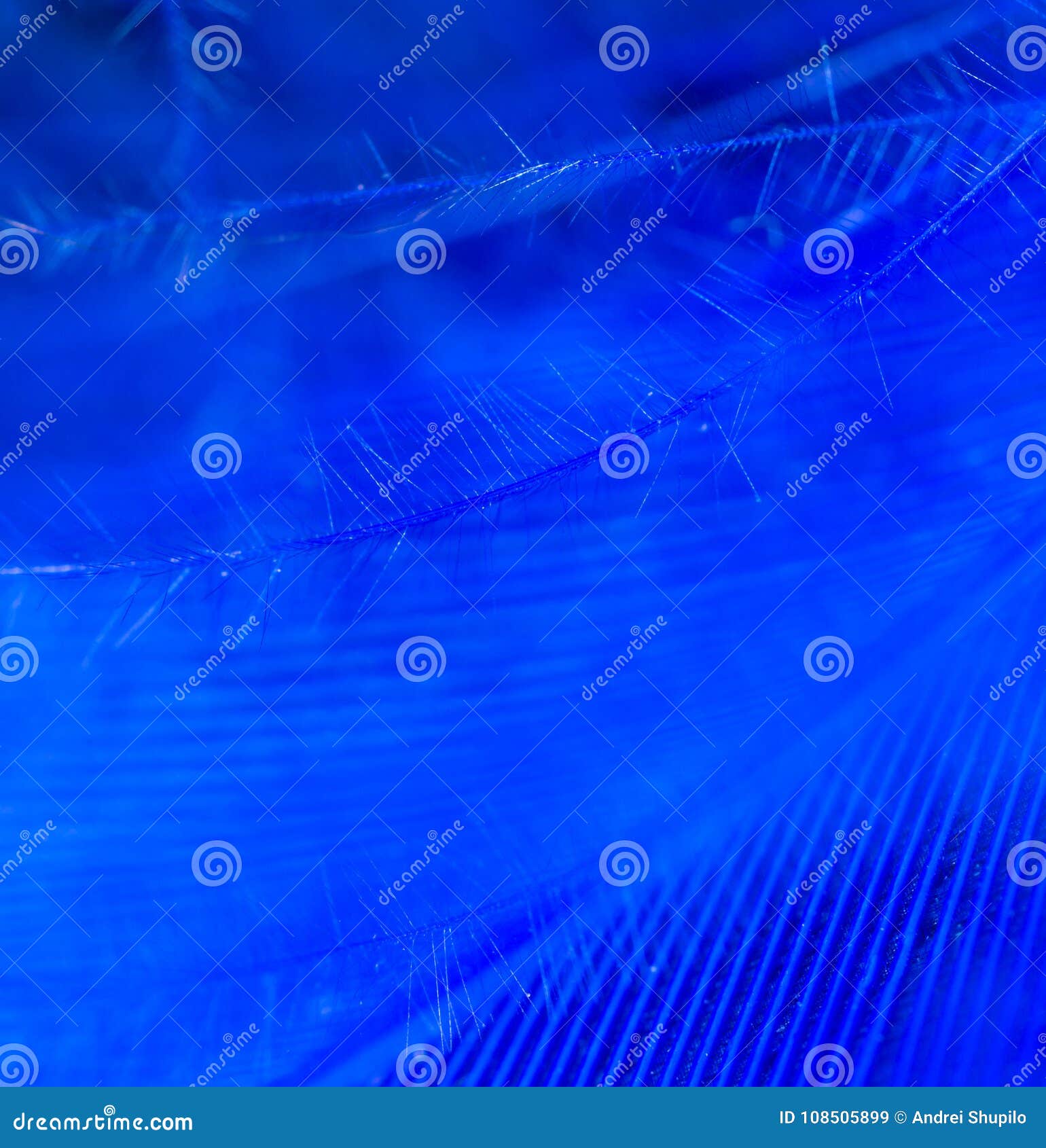 A Blue Feather As an Abstract Background Stock Image - Image of ...