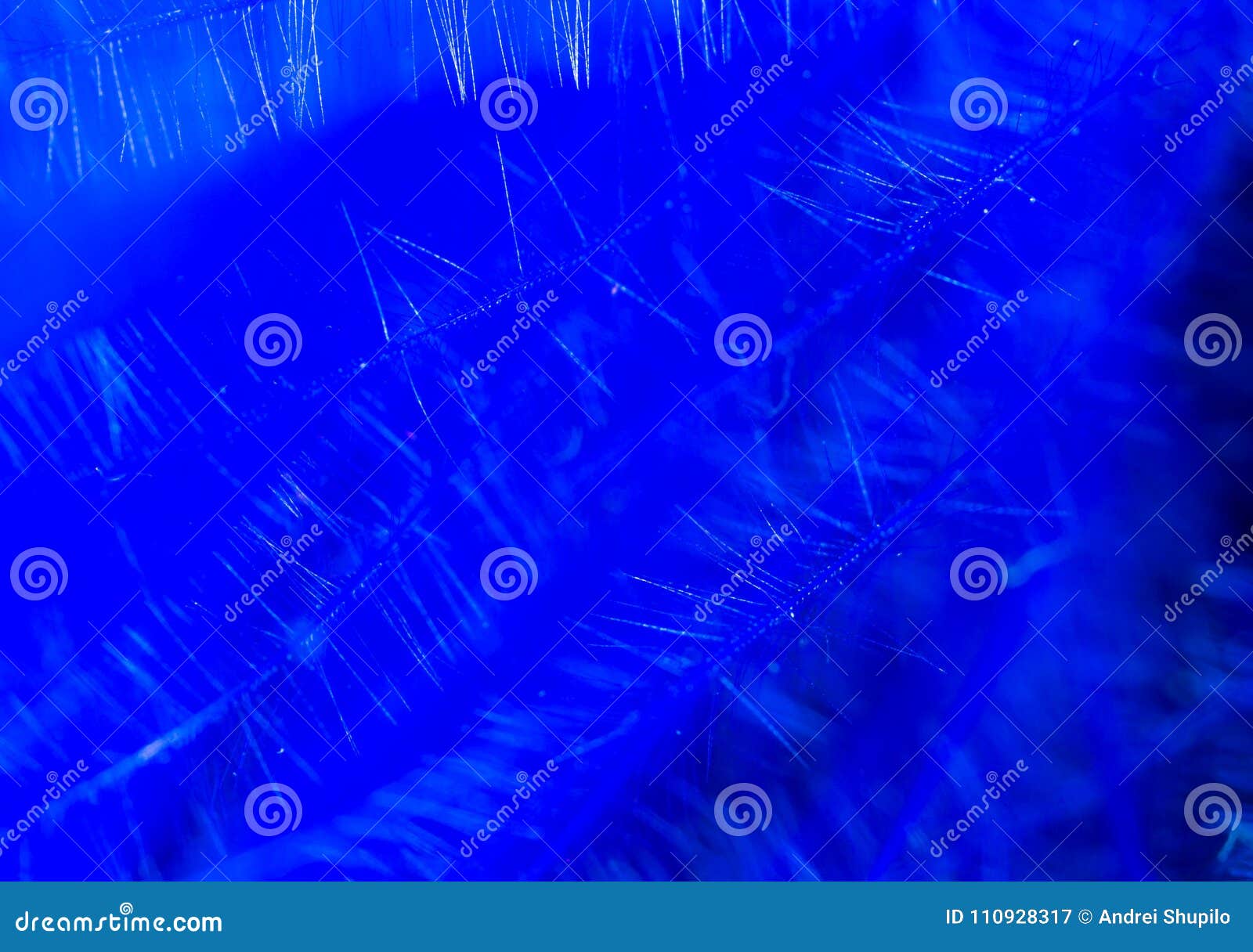 A Blue Feather As an Abstract Background Stock Image - Image of ...
