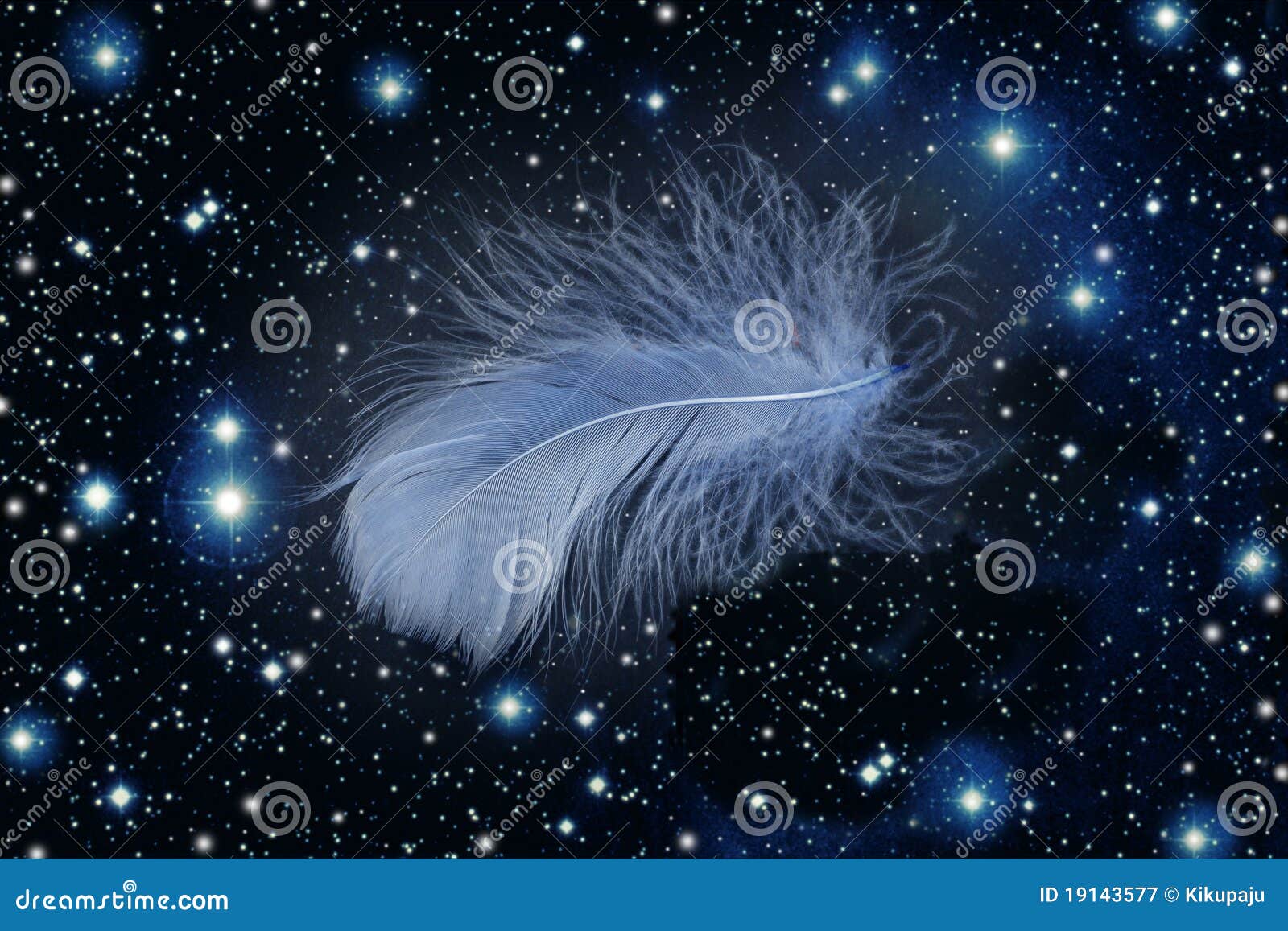 Blue feather falling stock image. Image of lightness - 19143577