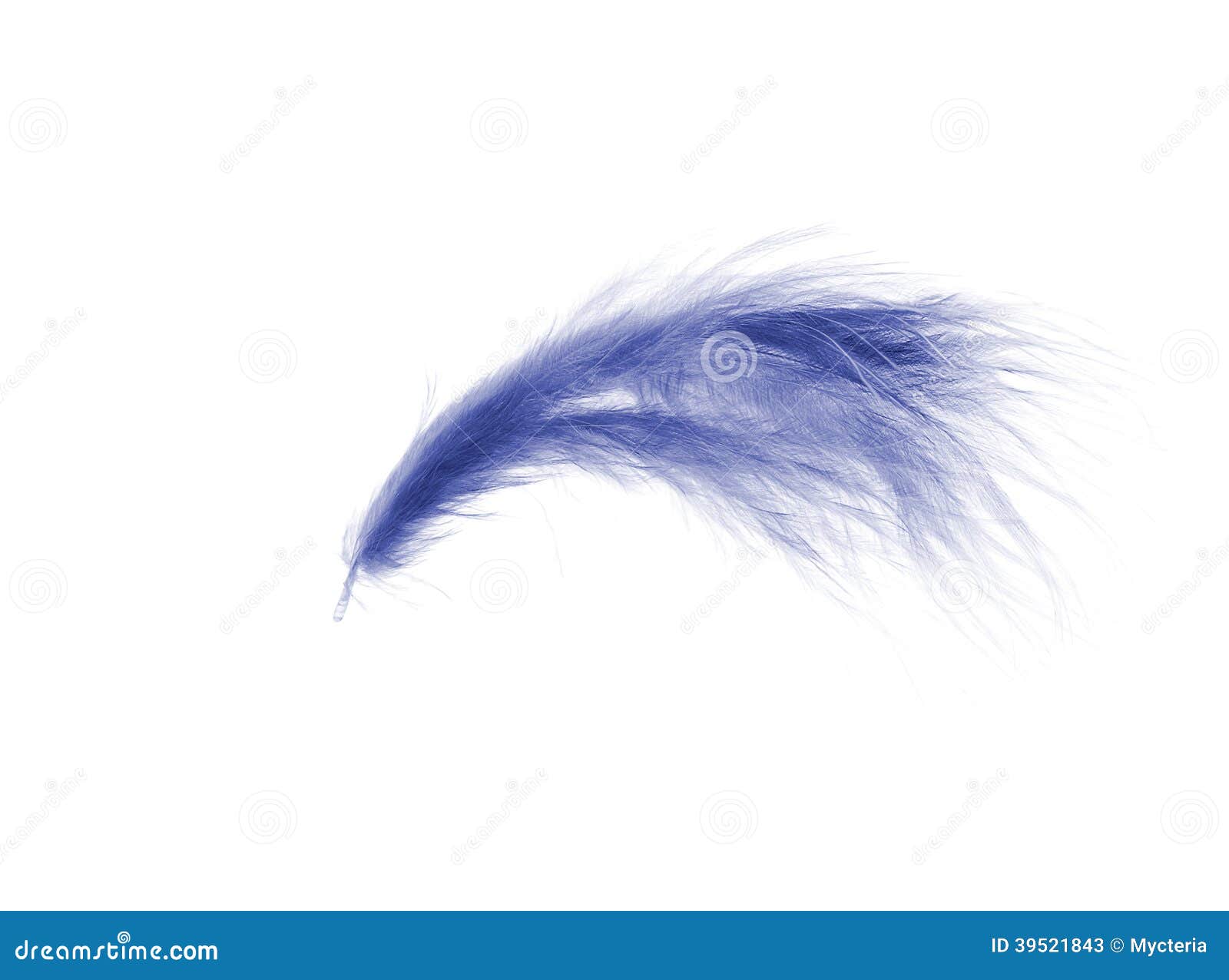 Blue feather stock image. Image of object, color, freedom - 39521843