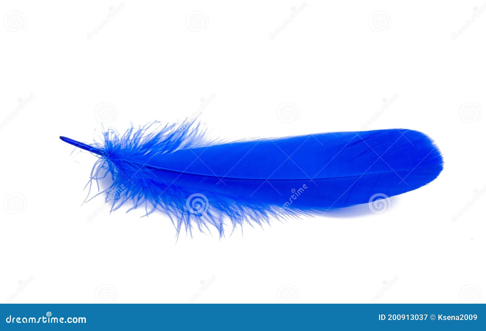 Blue feather isolated stock image. Image of isolated - 200913037