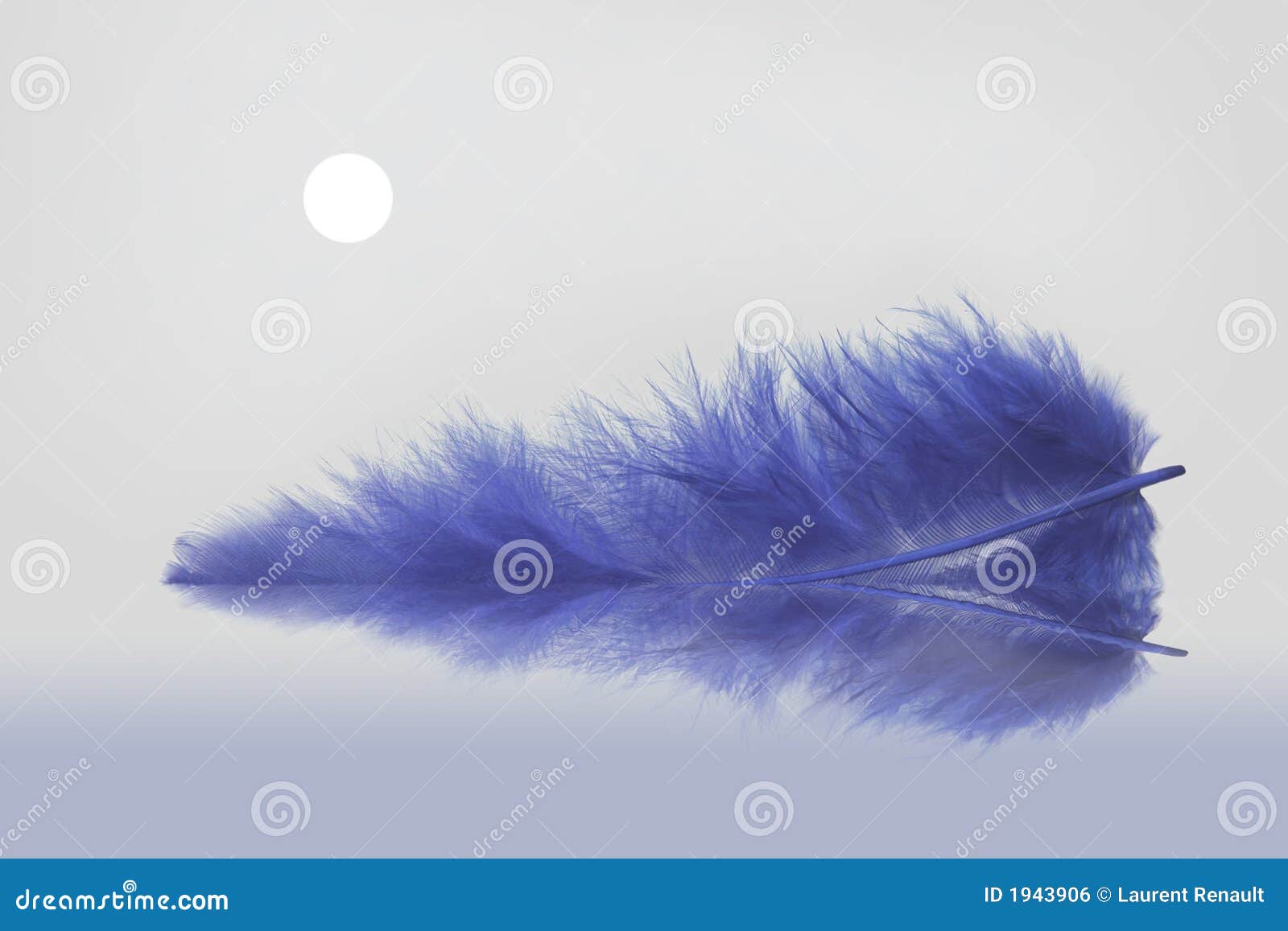 Blue feather s moonlight stock illustration. Illustration of water ...