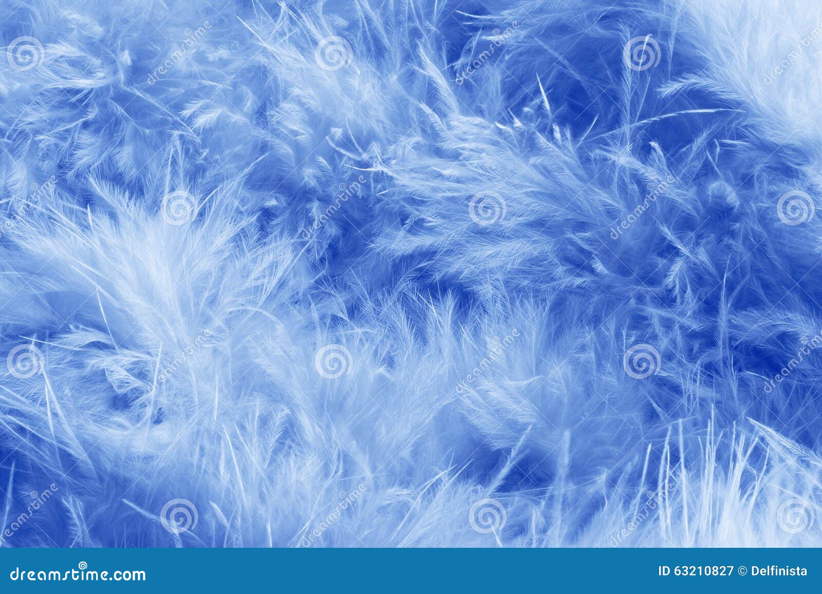 Blue Feathers Background - Stock Photo Stock Image - Image of blue ...
