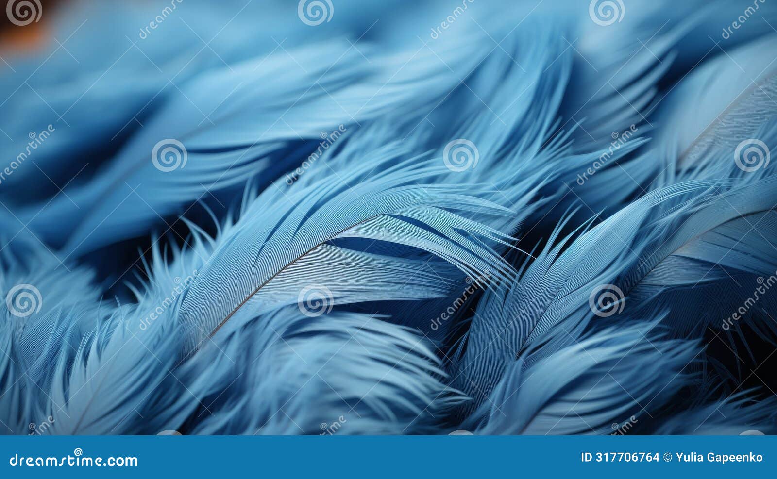 Blue Feathers Cluster stock photo. Image of aesthetic - 317706764