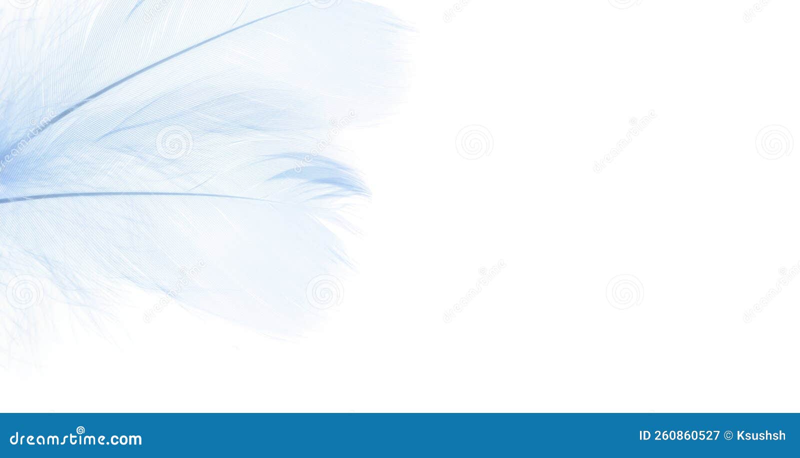 Blue Feathers in a Corner on White Background Stock Image - Image of ...