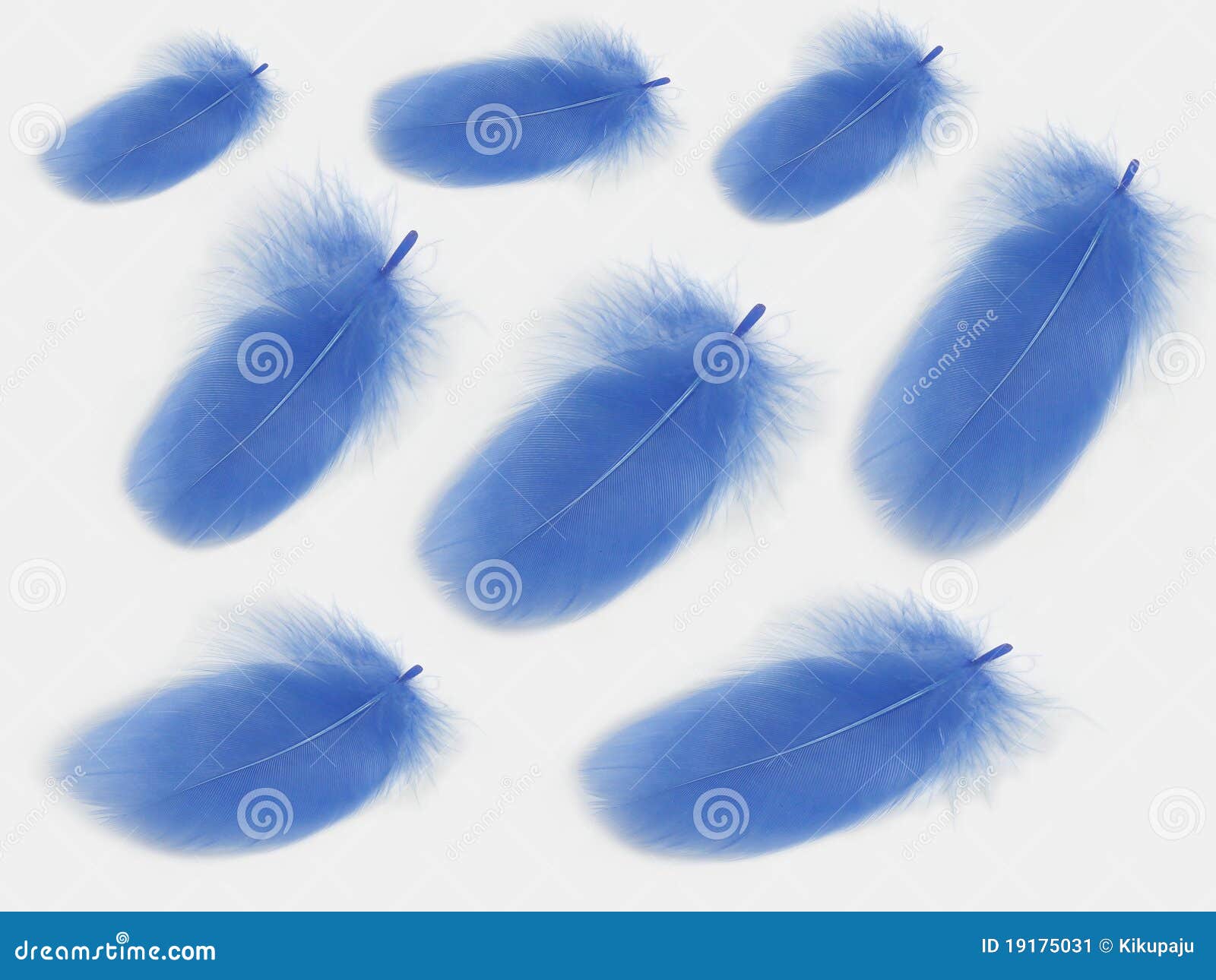 Blue feathers pattern stock image. Image of bright, feeling - 19175031