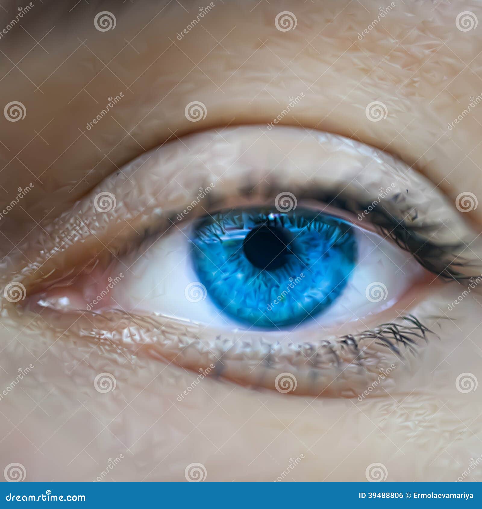 Blue Female Eye Macro. Vector Stock Vector - Illustration of eyelash ...
