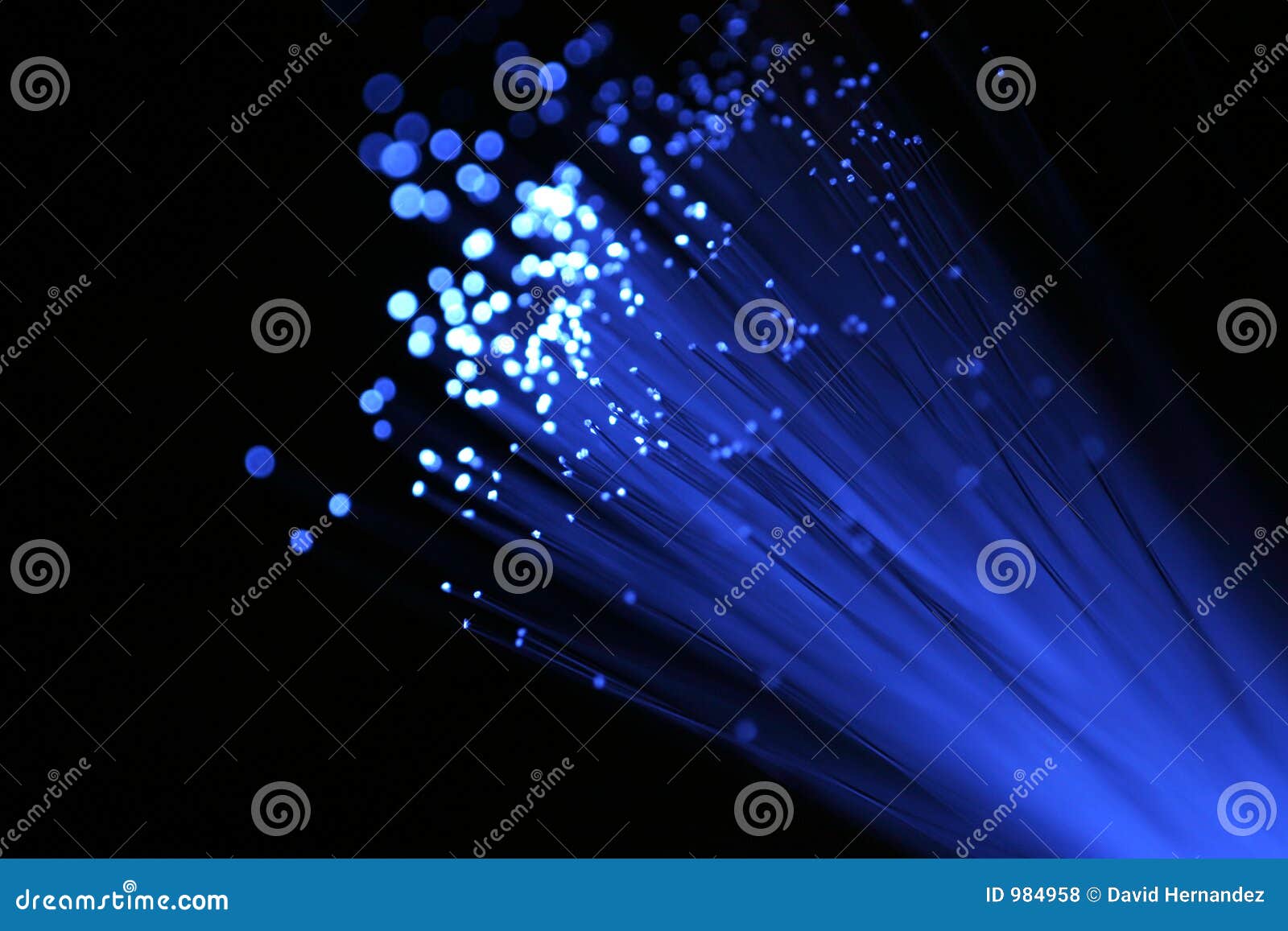Fiber Optic Cables Connected To An Optic Ports And UTP Network Cables ...