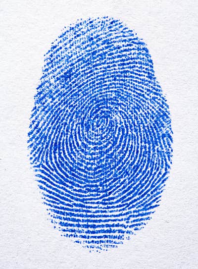 Blue finger print stock image. Image of pattern, individuality - 5533103