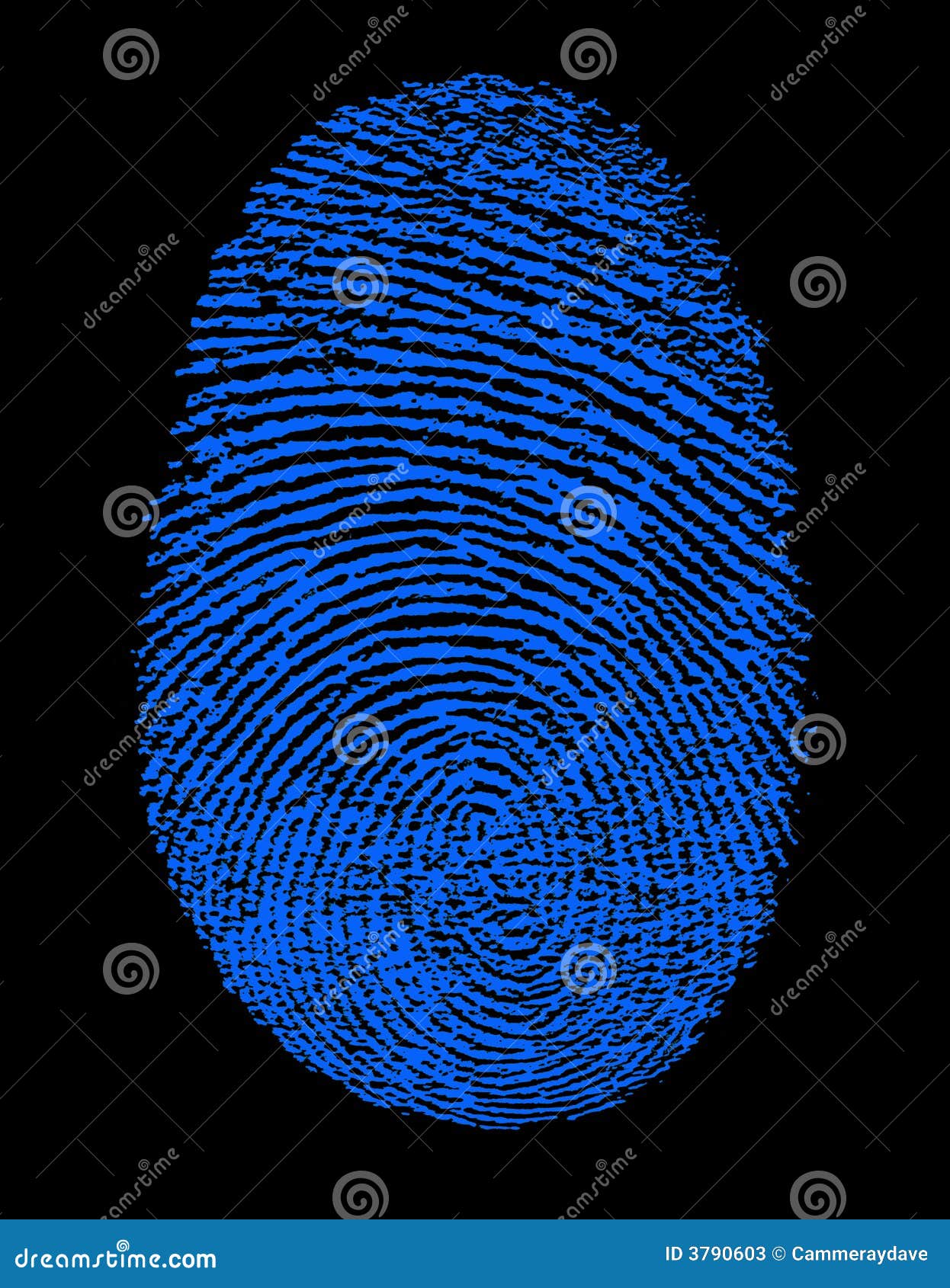 Blue Fingerprint Isolated On White Stock Photography | CartoonDealer ...