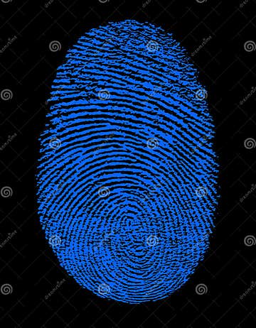 Blue Fingerprint Identity ID Stock Image - Image of evidence, identity ...