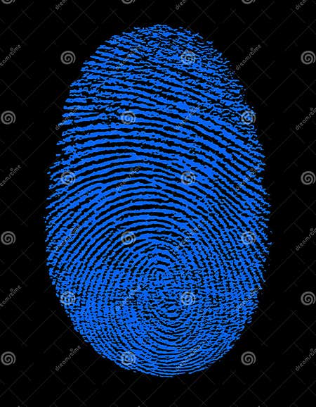Blue Fingerprint Identity ID Stock Image - Image of evidence, identity ...