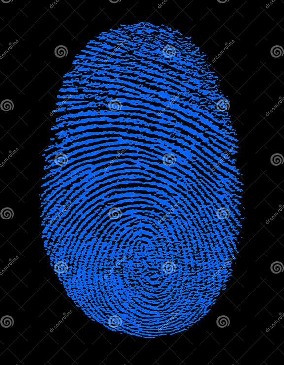 Blue Fingerprint Identity ID Stock Image - Image of evidence, identity ...