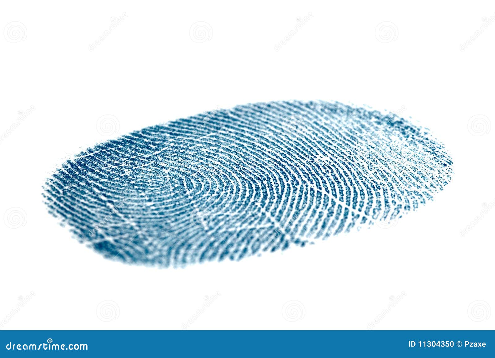 Blue Fingerprint Isolated On White Stock Photography | CartoonDealer ...