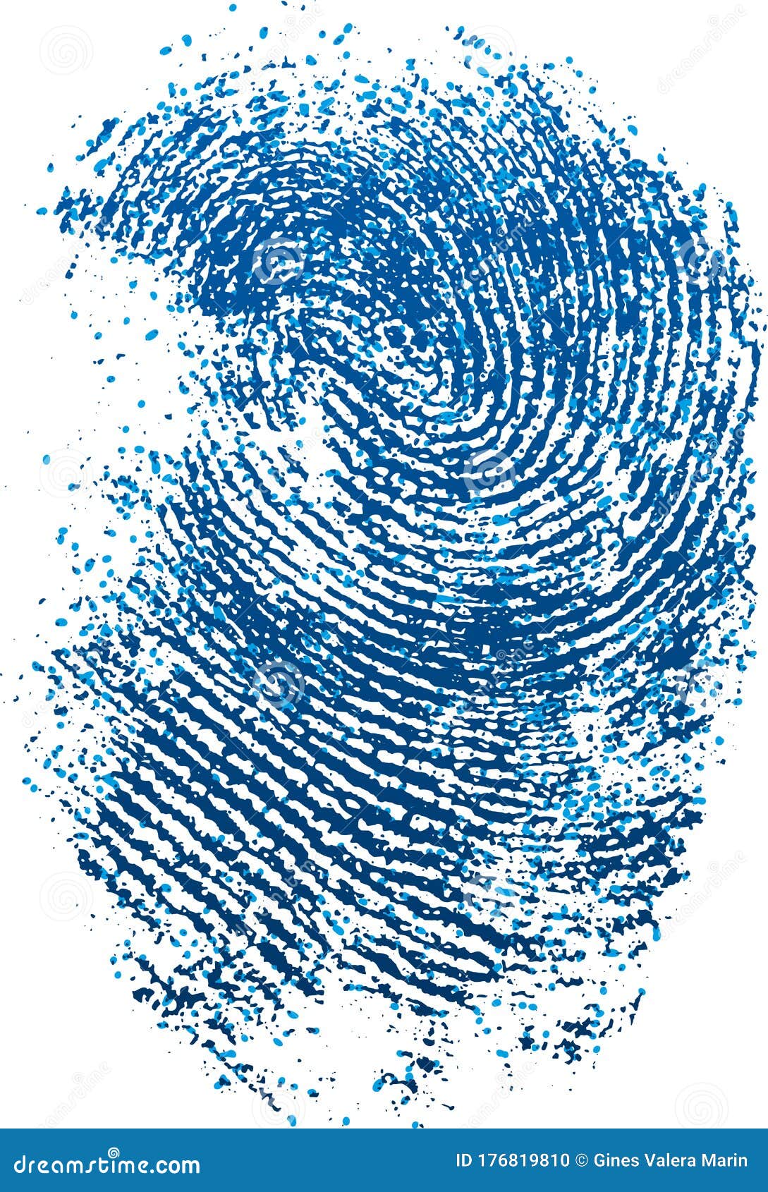Blue Fingerprint Identification Symbol Isolated On White Royalty-Free ...