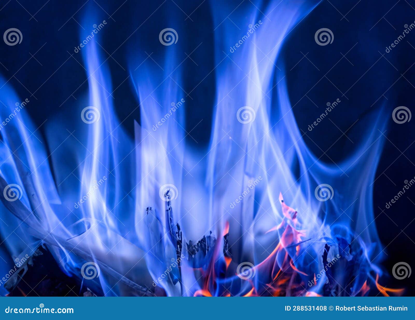 Blue fire stock photo. Image of circle, purple, reflection - 288531408