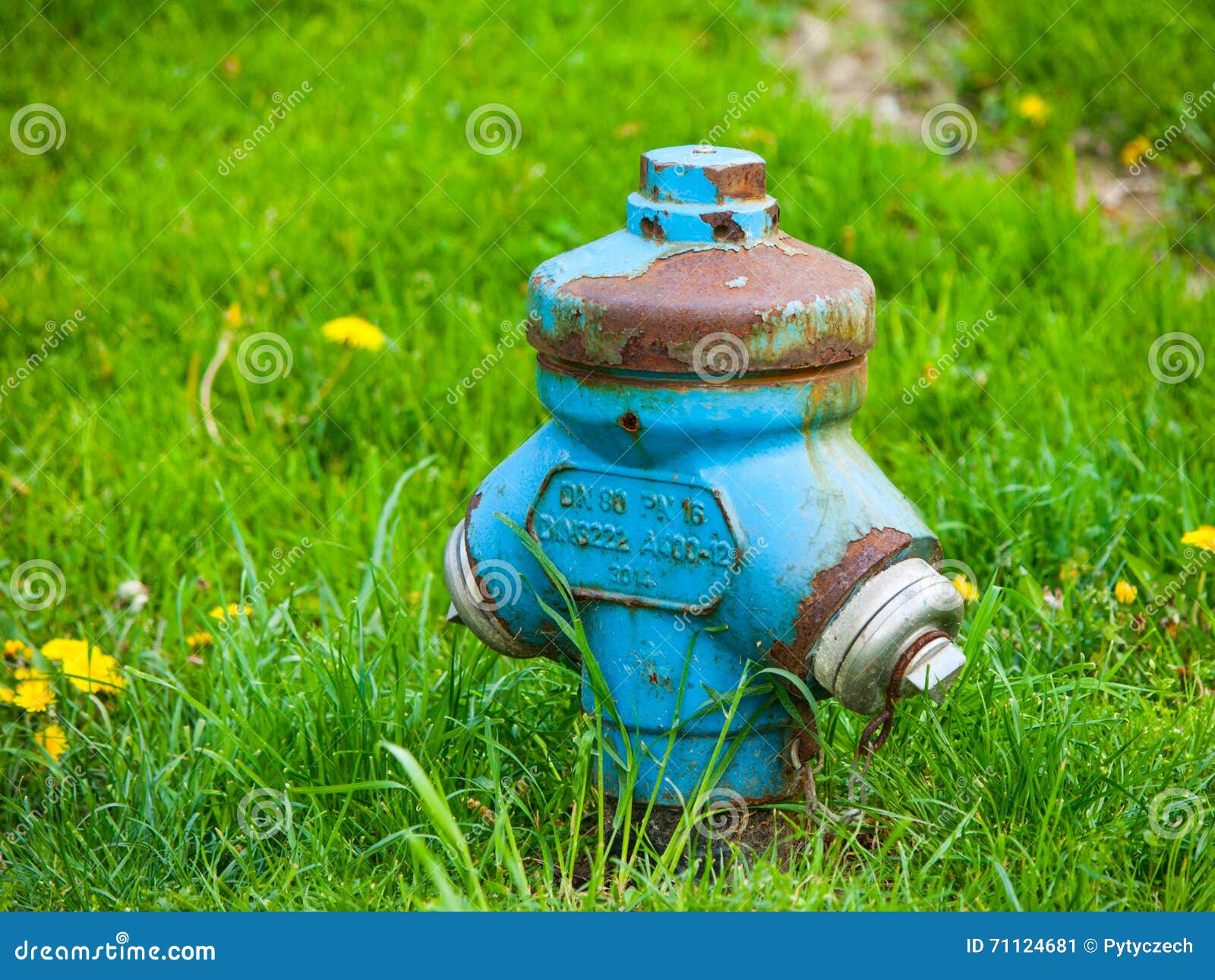 Blue fire hydrant stock image. Image of protection, closeup - 71124681