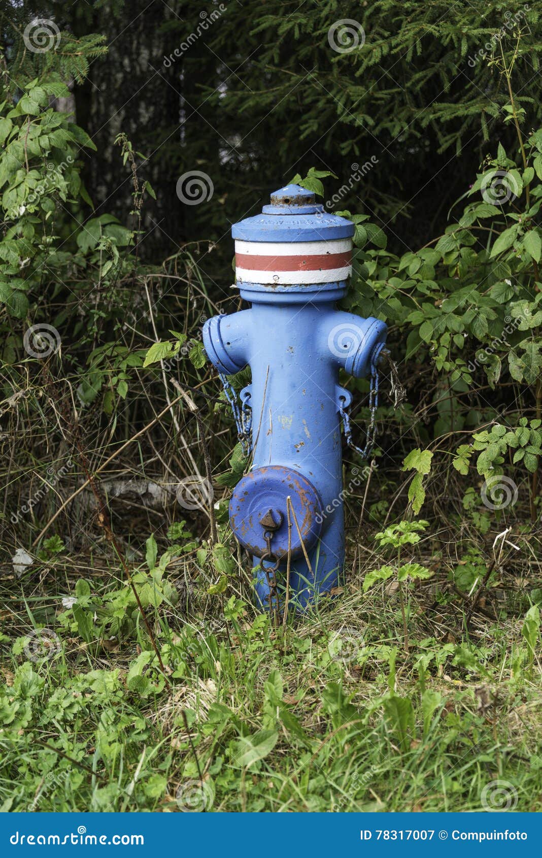 Blue fire hydrant stock image. Image of fire, hydrant - 78317007