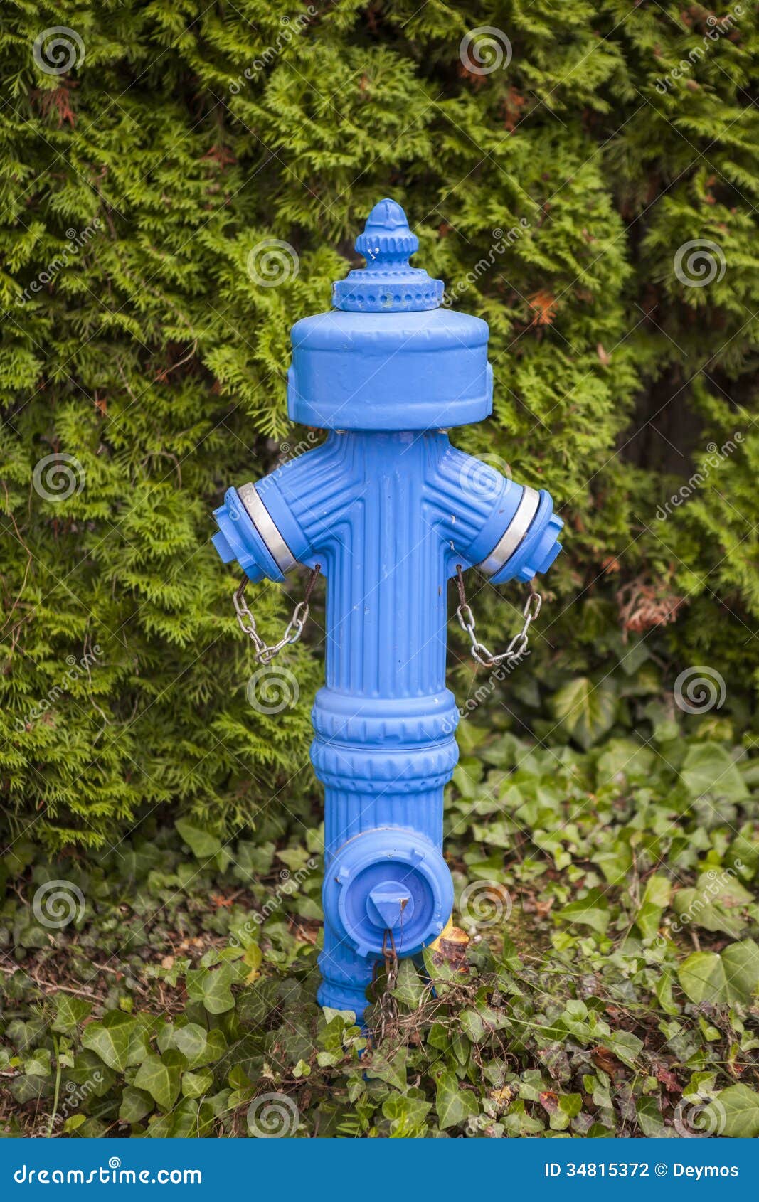 Blue Fire Hydrant in the Park Stock Photo - Image of pipes, safety ...
