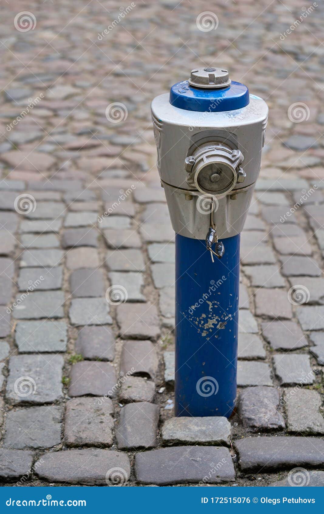 Blue Fire Hydrant on a Sidewalk Stock Photo - Image of daylight, fire ...