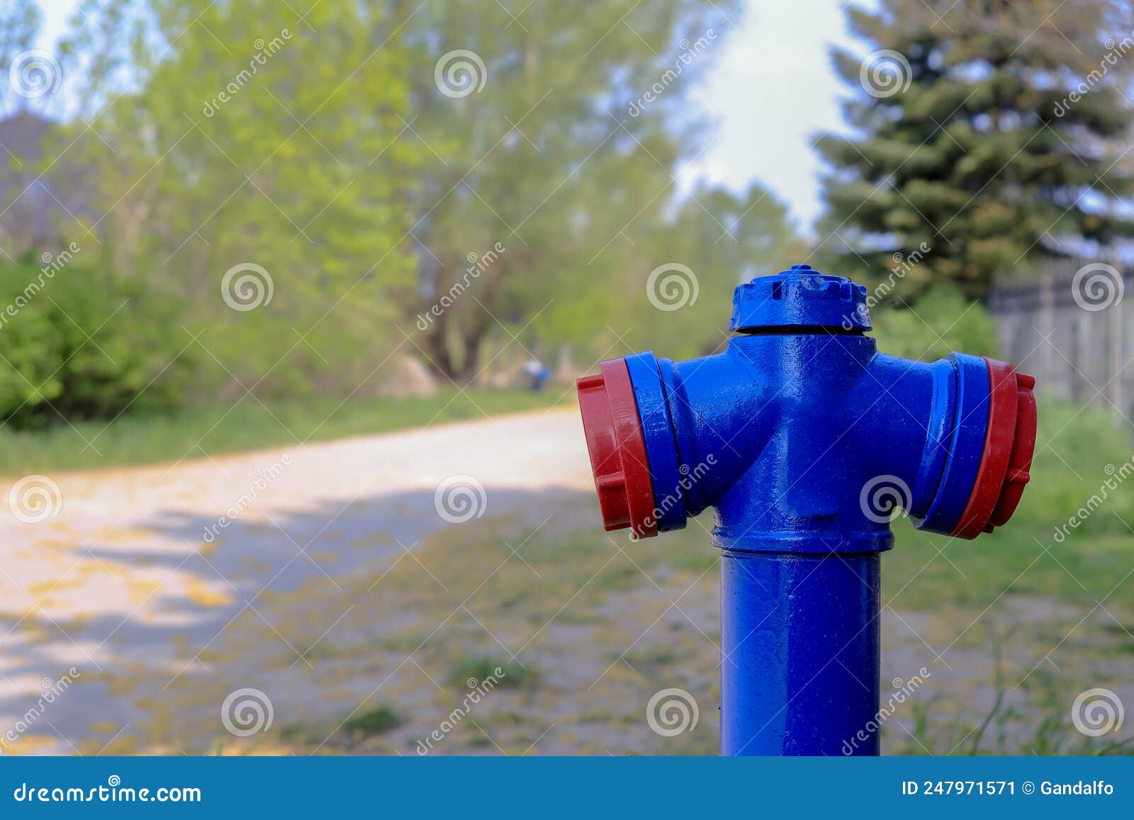 A Blue Fire Hydrant Standing at the Edge of the Road Stock Image ...