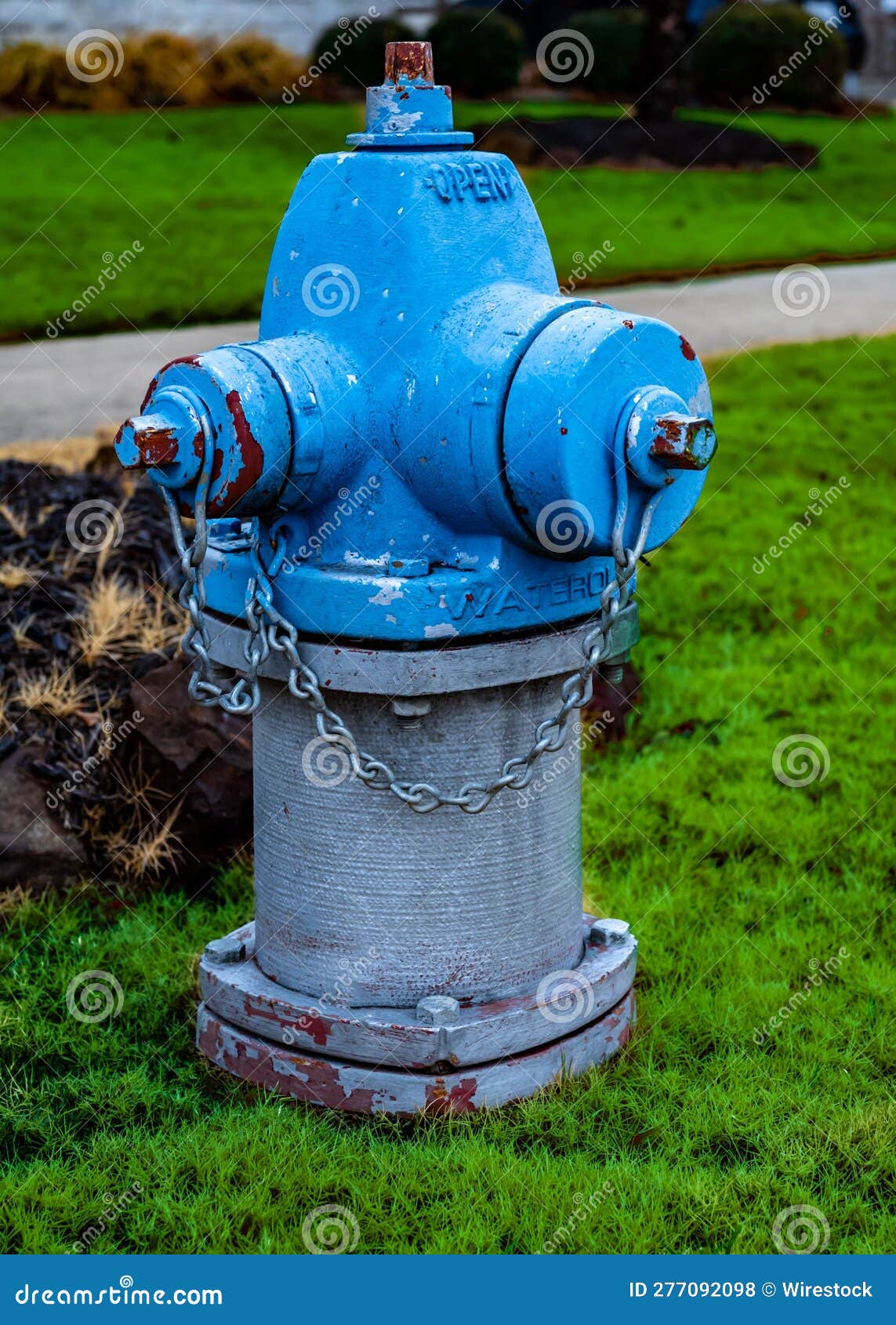 A Blue Fire Hydrant Stands on the Side of a Street Stock Photo - Image ...