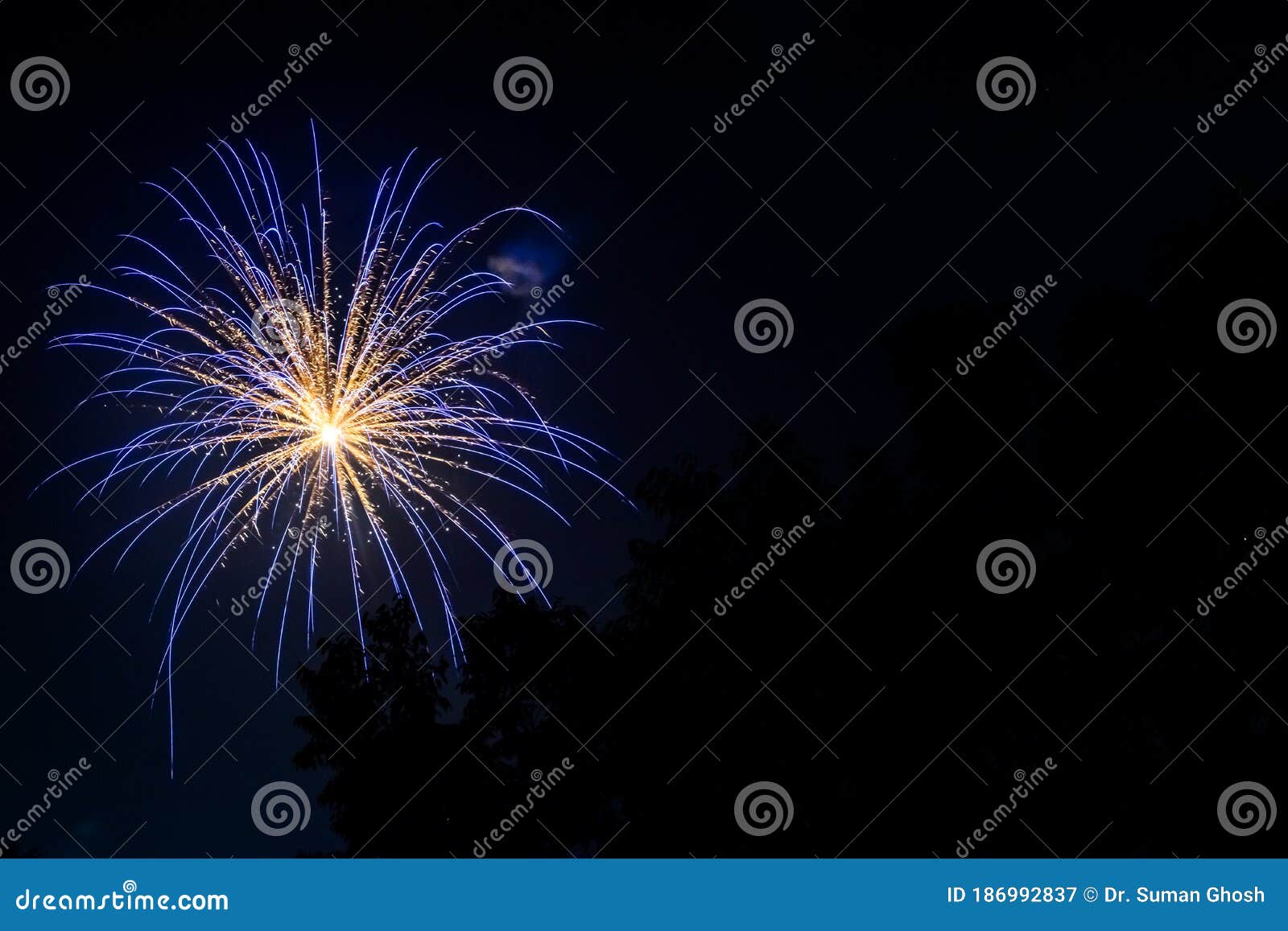 Blue Fireworks at Night Sky Stock Image - Image of show, burst: 186992837