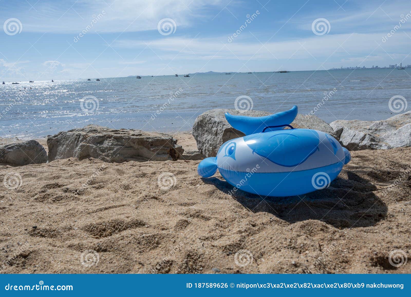 Blue Fish Shaped Swimming Ring Stock Photo - Image of à¸ÿ, travel ...