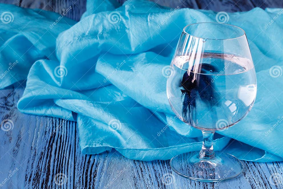 Blue fish in wine glass stock photo. Image of beverage - 110964990