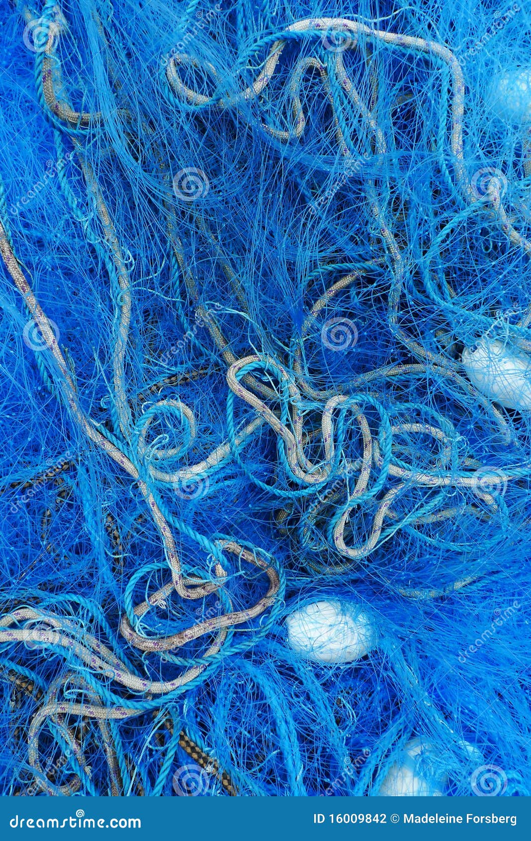 Blue Fishing Net stock photo. Image of cord, fishing - 16009842