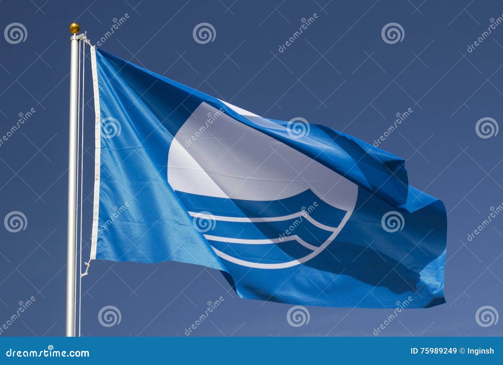 Blue Flag editorial stock image. Image of sightseers - 75989249
