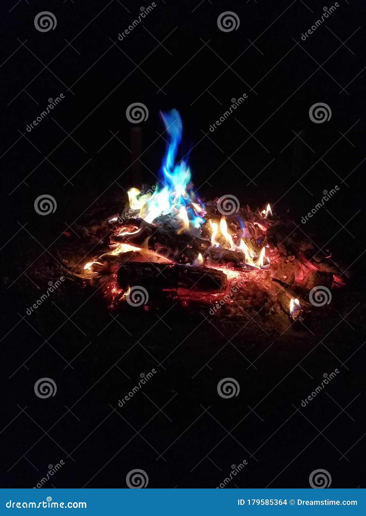 Blue Flame Campfire in the Woods Stock Photo - Image of blue, person ...